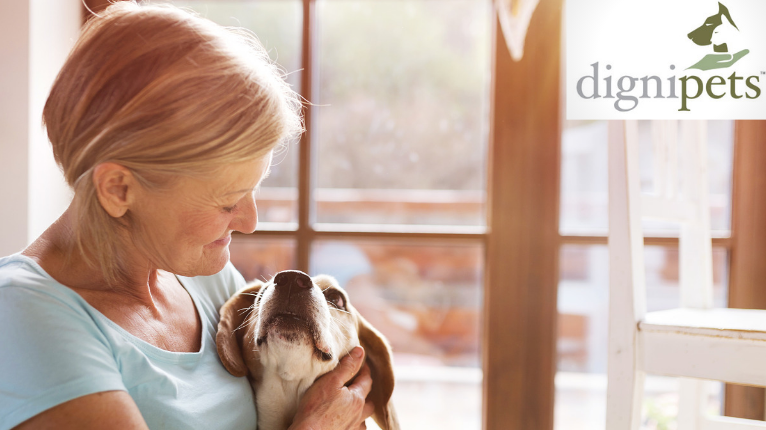 'Bucket List' For Your Dog | Lasting Memories | Dignipets